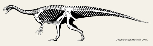Talk:Plateosaurus - Wikipedia