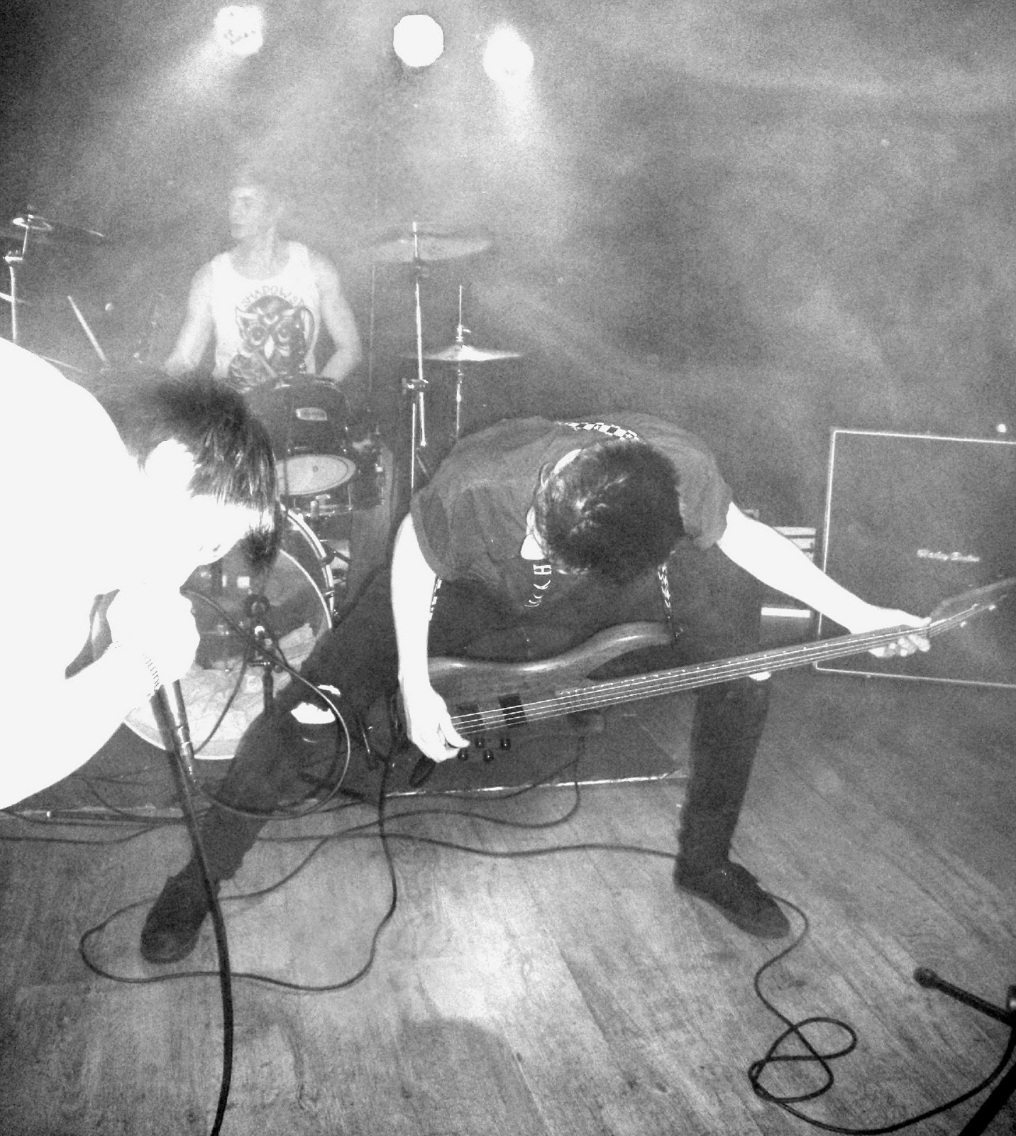 The Bear Roots Collective