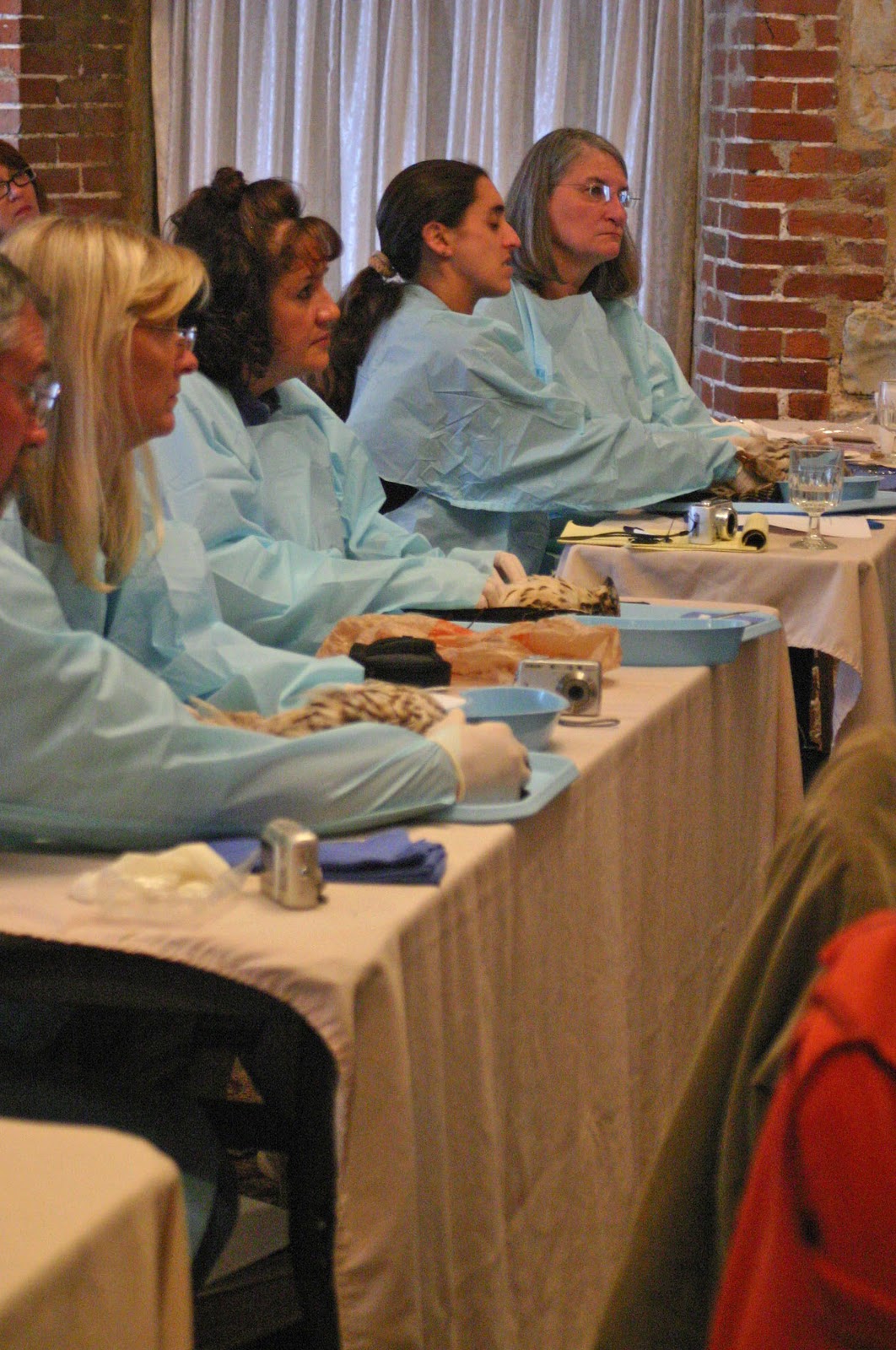 World Bird Sanctuary: AVIAN TRAINING WORKSHOP