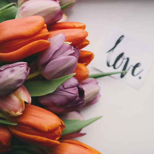 Cy Lim 的檔案 - Hahow 好學校