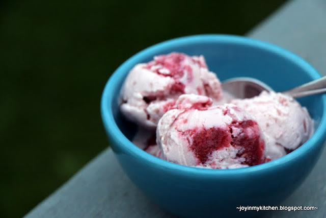 Finding Joy in My Kitchen: Raspberry Rhubarb Frozen Yogurt