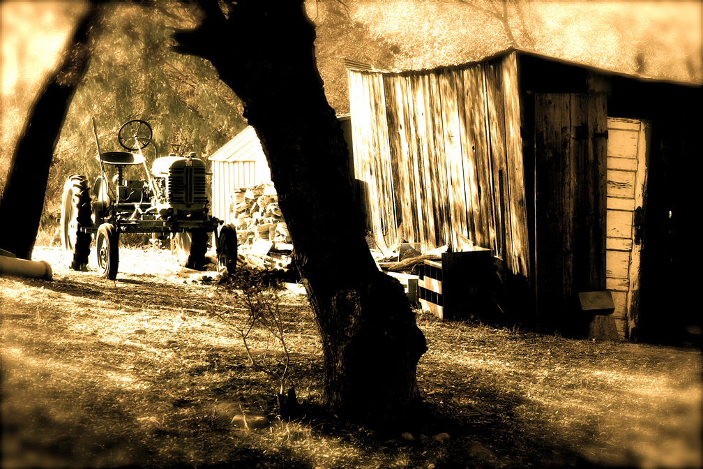 Blue Heron Blast: brett stokes