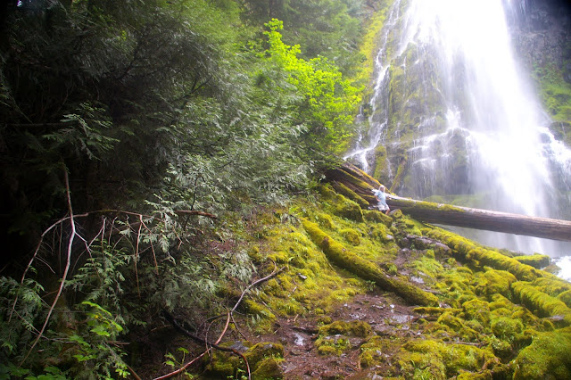 Proxy Falls, Benson Lake, Scott Lake, Hand Lake 7/17 - Oregon Hikers