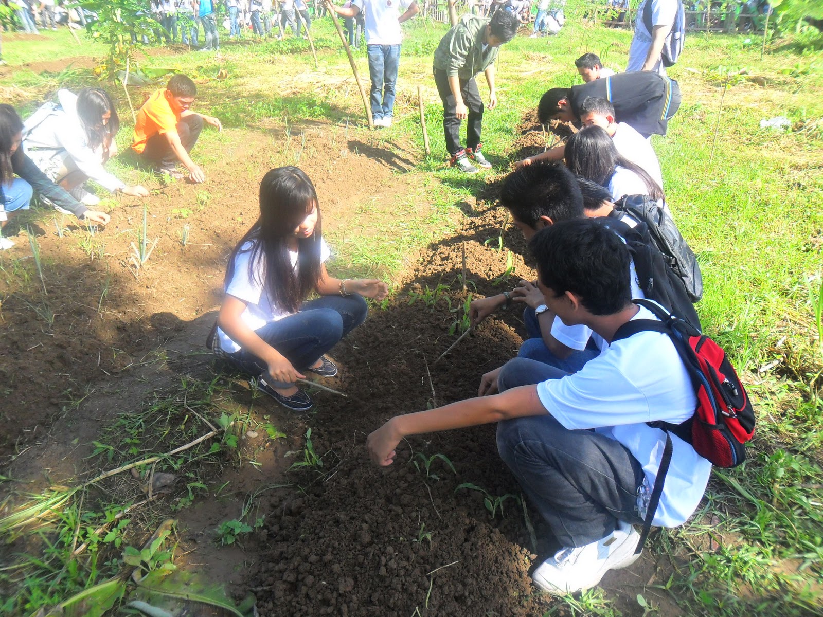 Ruel DG's Blog: NSTP-CWTS CLEANING ACTIVITY
