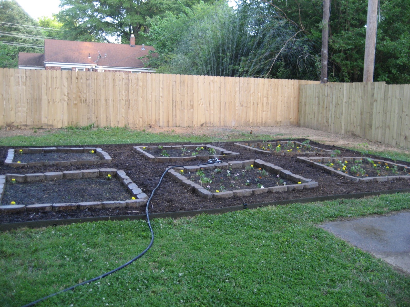 Garden Musings from Memphis Area Master Gardeners: The Family Plot ...