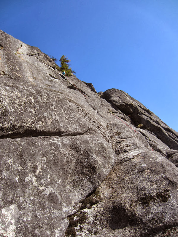 Tree & Stump Route 10.13.13