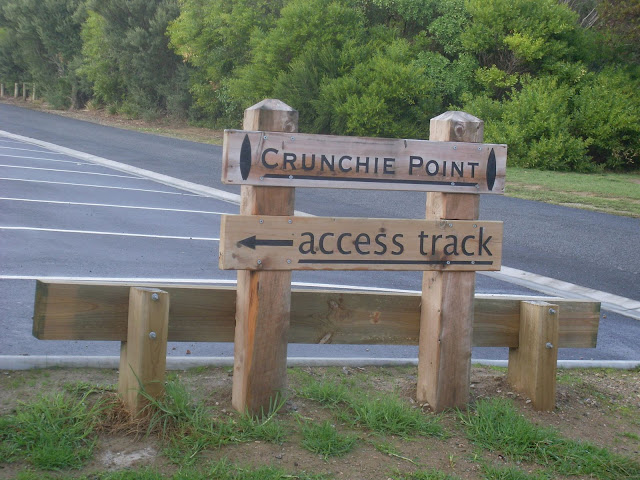 Sign Songlines: January 2014