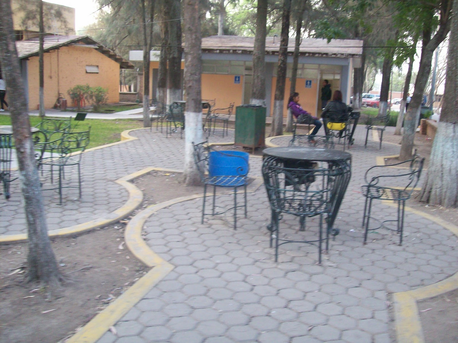 CETis 63: Tu mejor opcion CETis 63