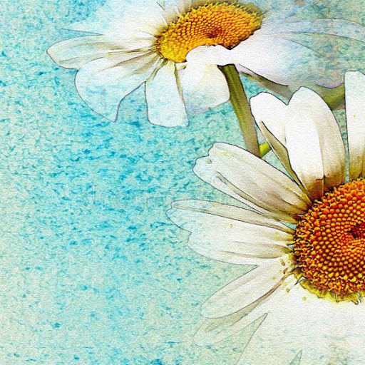 Forest Pines Hotel, Spa & Golf Resort, Brigg – Updated 2024 Prices