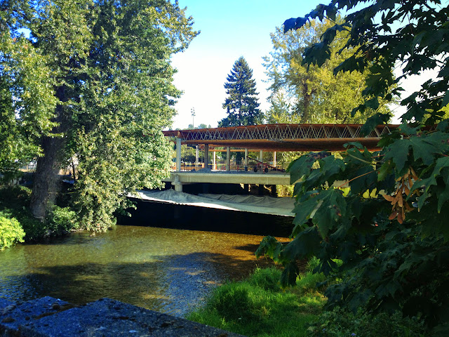 The Library over the River, revisited.