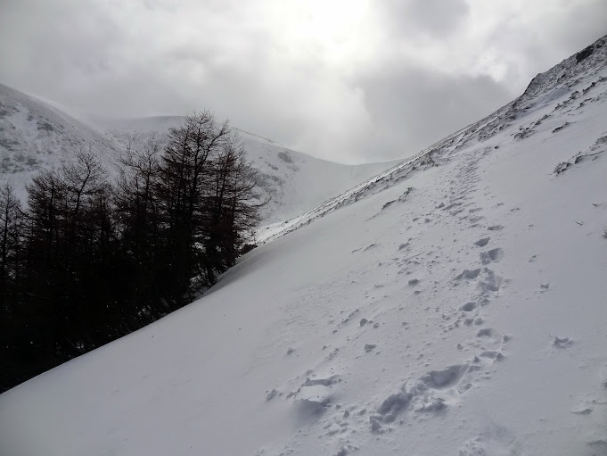 Walk Report - Spindrifts on Mayar and Driech • Walkhighlands