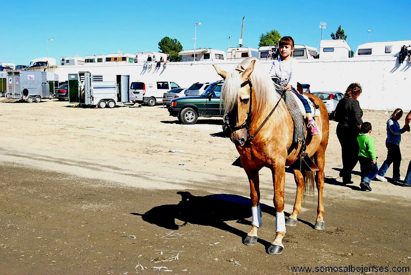 Somos Albojenses - 200 FOTOS EXHIBICION ECUESTRE RAMBLA ALBOX 4-11-2007 ...
