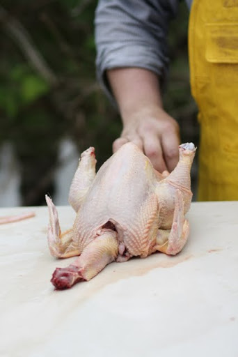 Insurgent Chickens: Butcher Day