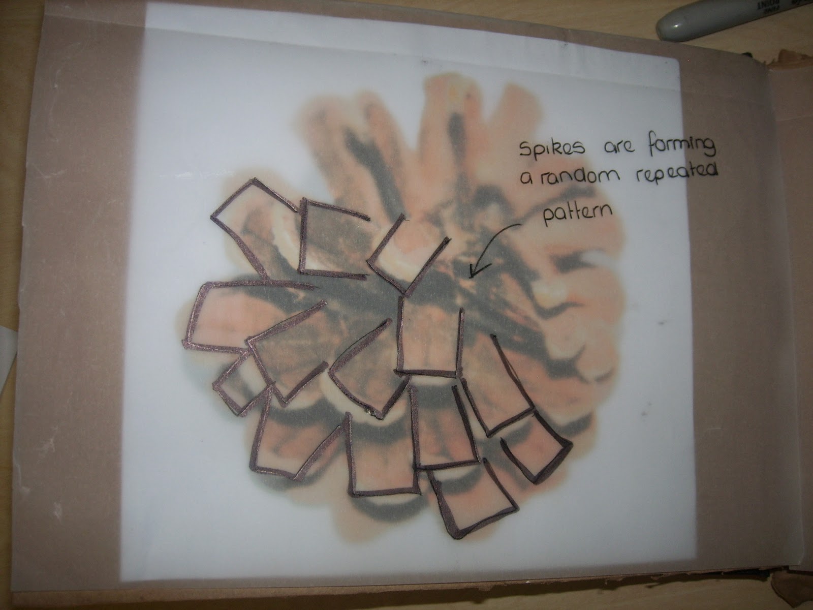 Today I Wore My Hair Up.: Repeated Forms: SKETCHES