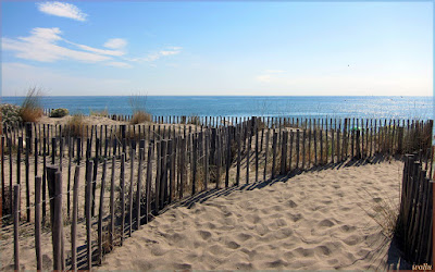 Plages de Canet - Canet en Roussillon 66140 Canet de Rosselló