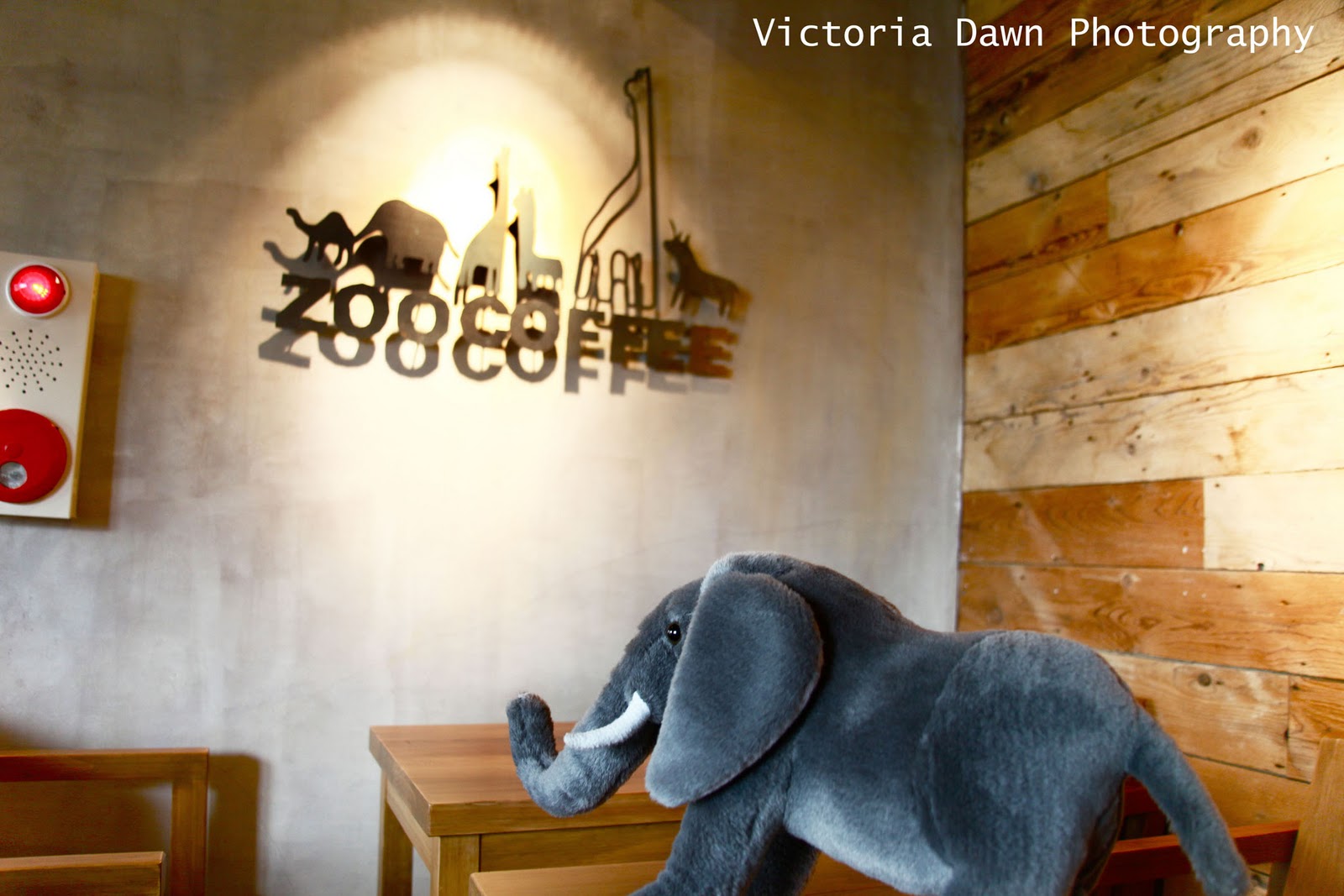 Victoria Dawn : Zoo Coffee!