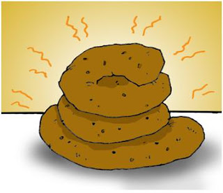 ALIT ADI SANJAYA: STRUKTUR FESES ANDA MENENTUKAN KESEHATAN ANDA