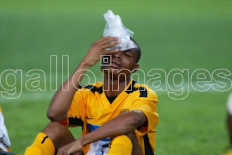 Gallery | sbemarketing