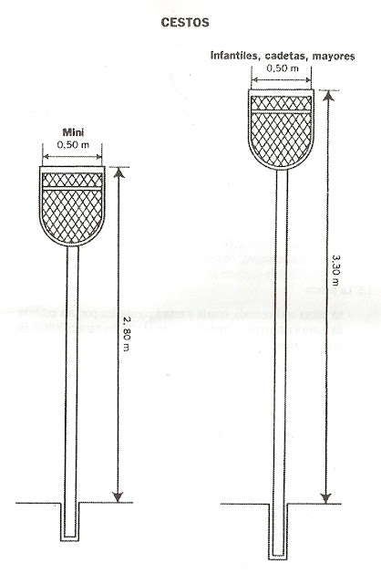 Todo deporte: Cestoball