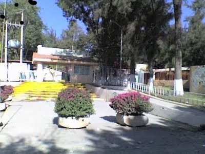 entren al cetis 63: invitacion al cetis 63