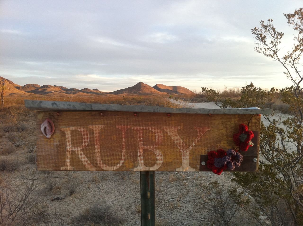 earth language: Signs of Spring