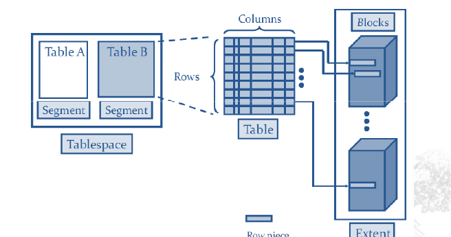 Struktur Database Oracle Mata Woles
