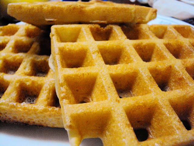 W A F F L E S ~ n ~ T R E E S: March 2011