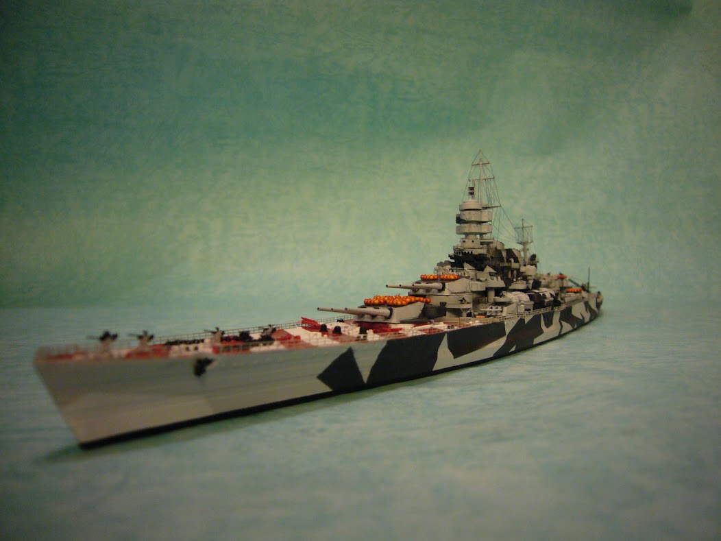 The Ship Model Forum • View topic - 1/700 RN Roma