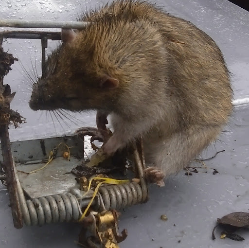 J C Bamford Excavators Ltd. · JCB World Headquarters Lakeside Works ...