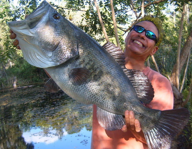 Allen's Taxidermy: The World Record Largemouth Bass