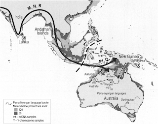 Crikey! Look at the Bones Down Under!: The Peopling of Australia: Human ...