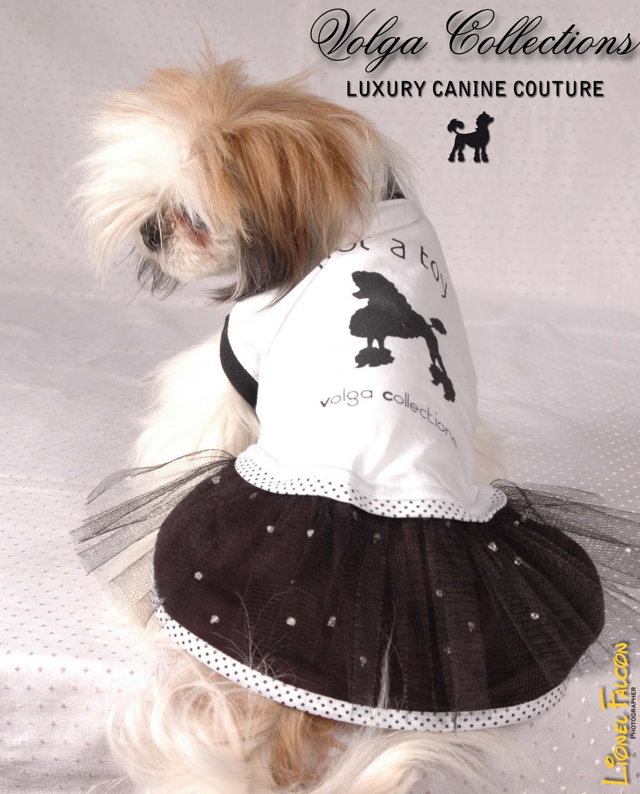VOLGA COLLECTIONS - Moda Canina: ALGUNOS VESTIDOS