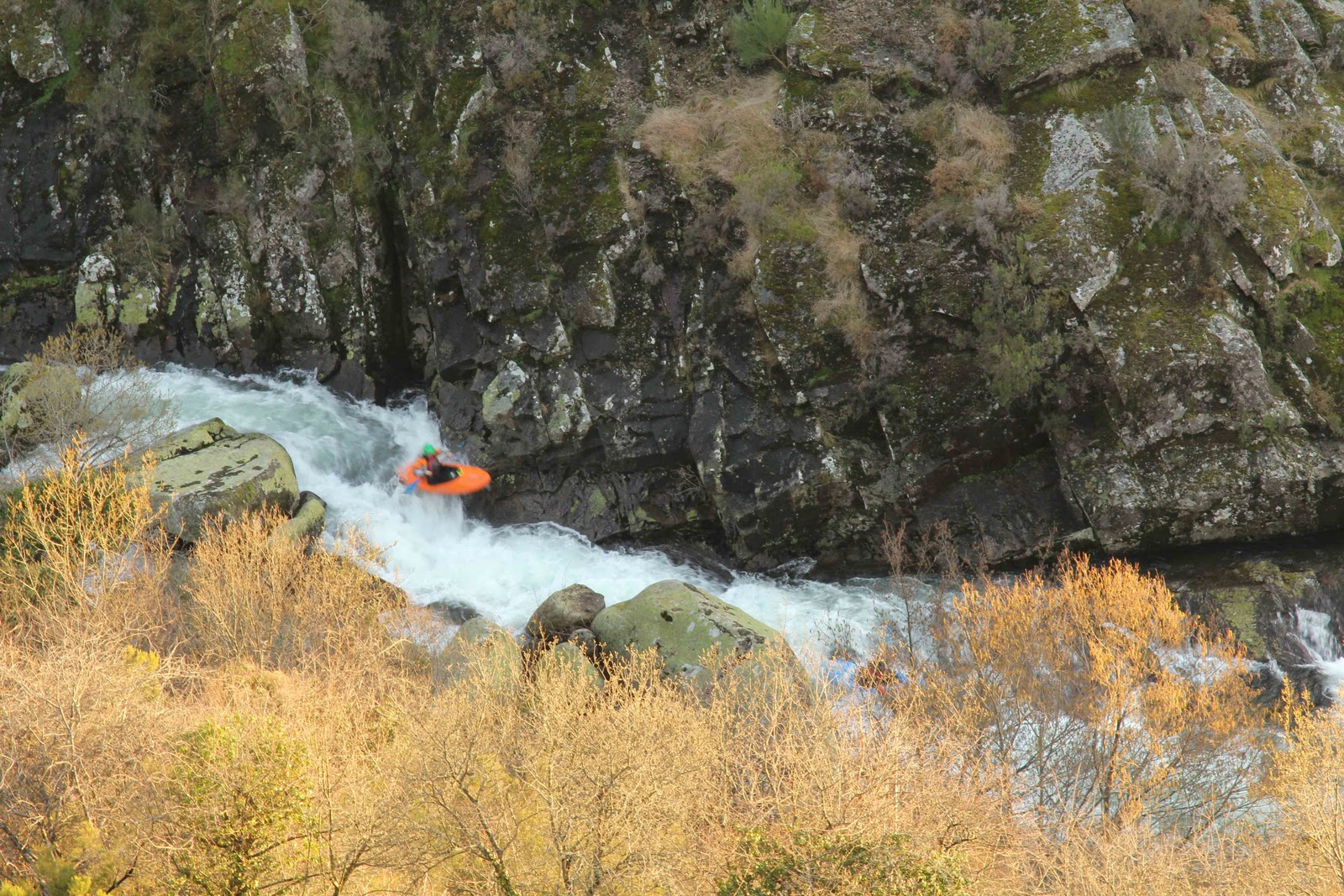 Pastillas Viavox 50mg Para Que Sirven