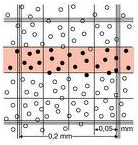 SOLLY BRIDES: 2.2: Neubauer Chamber