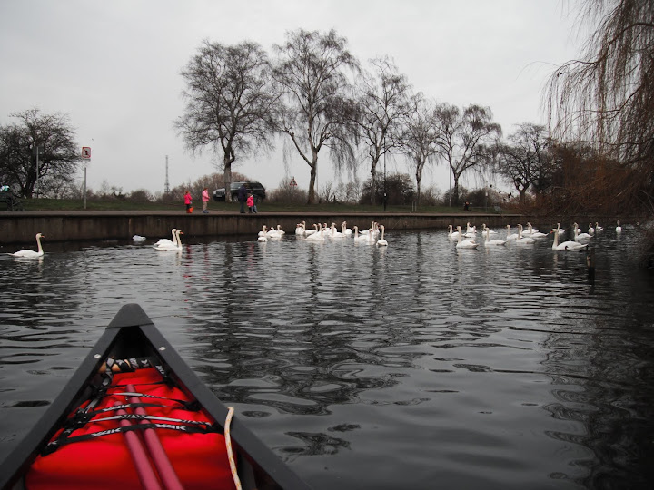River Nene - Wellingborough to Irthlingborough - Song of the Paddle Forum