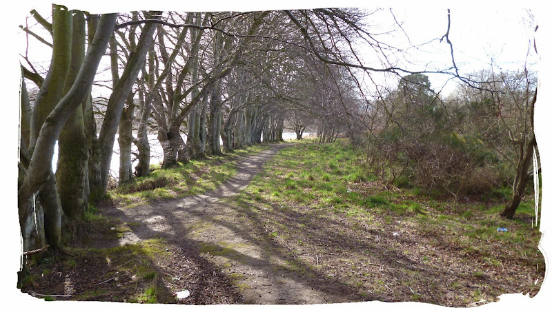 Walk Report - River Dee and The Old Deeside line, Aberdeen • Walkhighlands