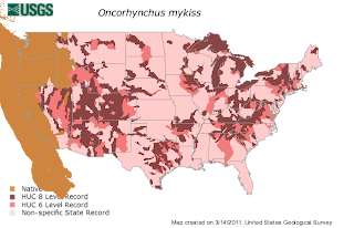 Ecosystems & Wildlife: Rainbow Trout
