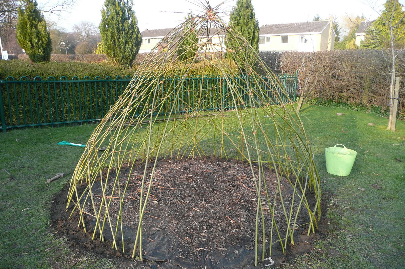 Sponge Tree: Hoyle Court Primary School Willow Structure.