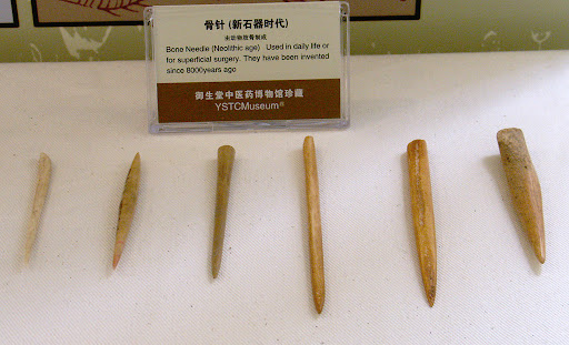 Basics - Jasmine's Website --- Native People -- Plains