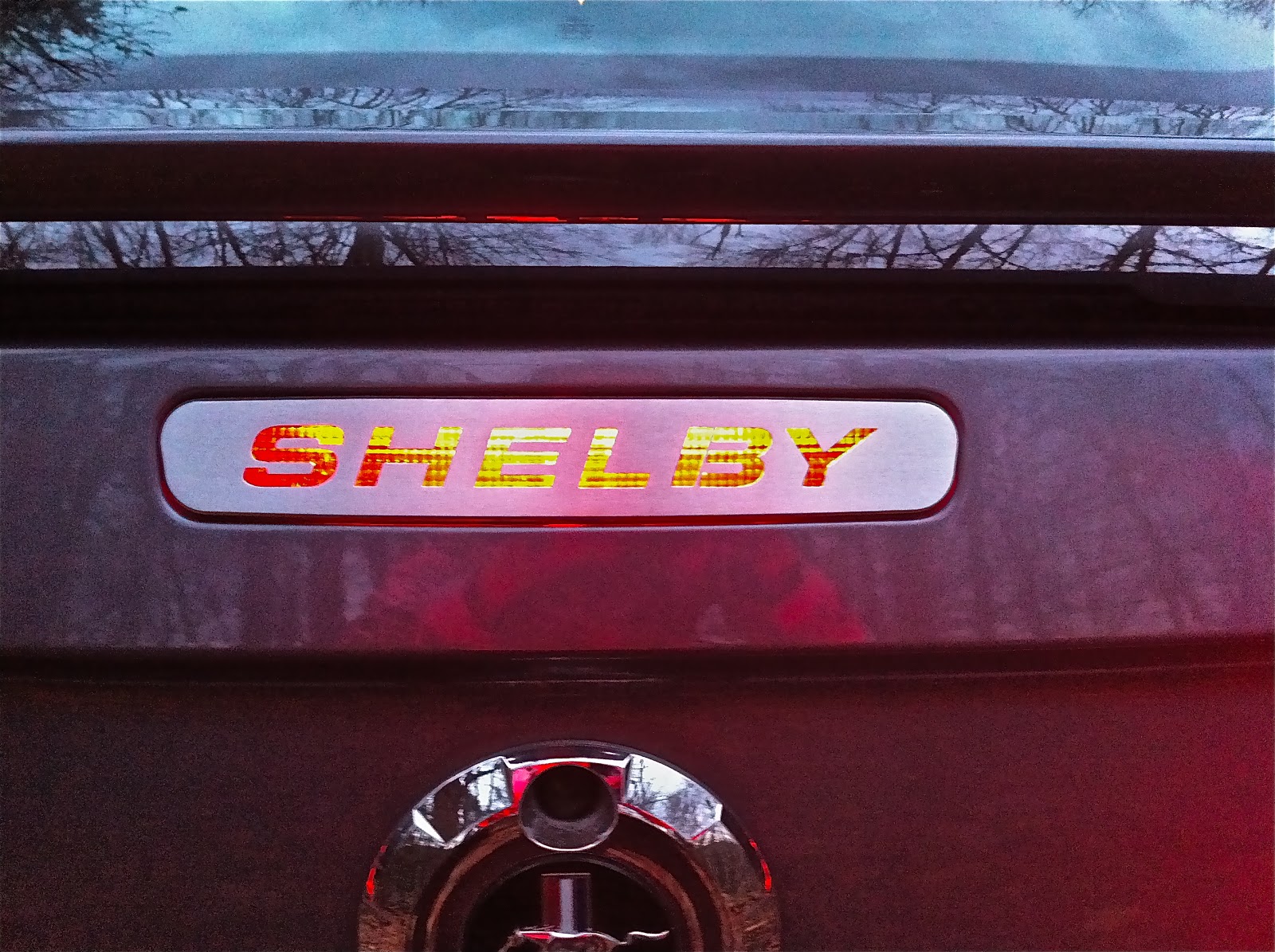 Shelby's Stang: Shelby Brake Light Cover