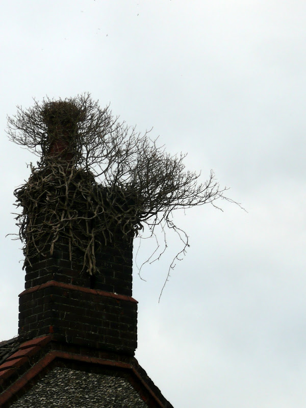 In search of the Becks and Ponds of Beeston Regis ~ Griffmonsters Great ...