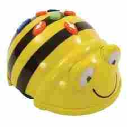 Learning to TEACCH: Floor Turtles