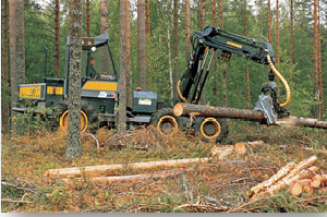 El sector primario: EXPLOTACIÓN FORESTAL Y TRANSFORMACIONES EN EL MUNDO ...