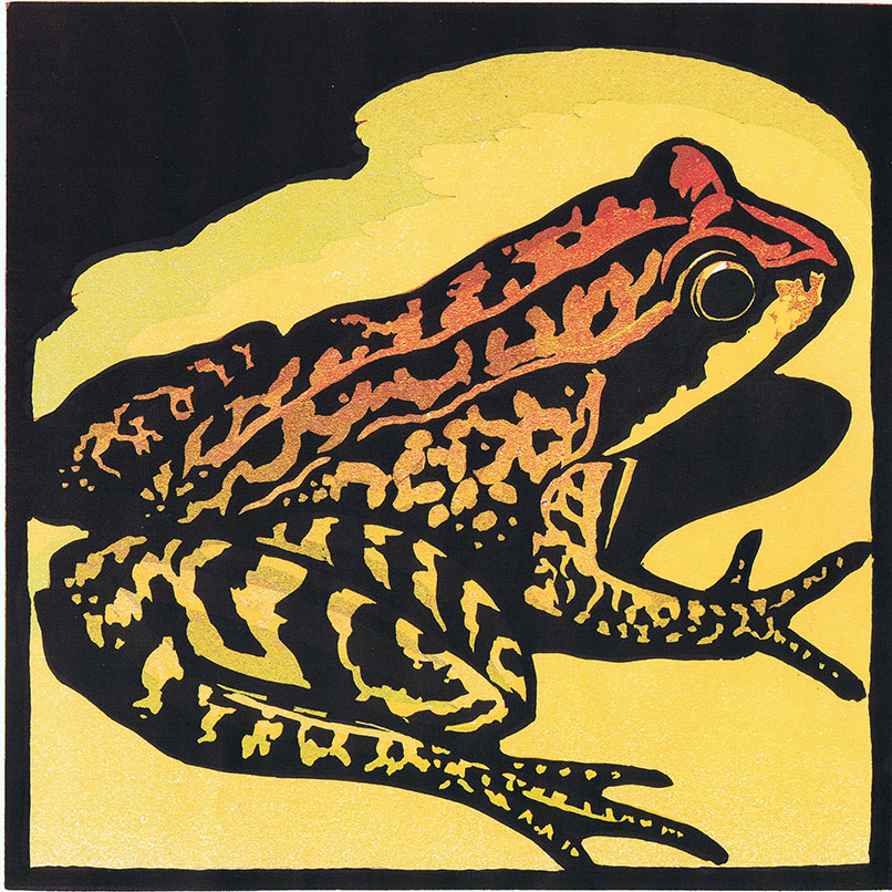 Black and White: The ABC's of Block Printing