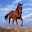 Tom's user avatar