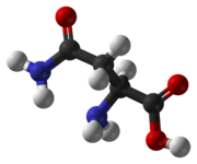 Organic Chemistry: Asparagine!!