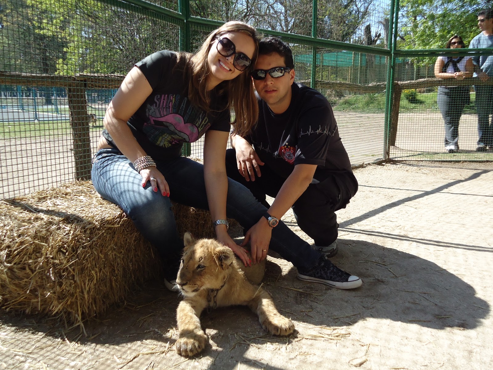 Descobrindo paisagens: Zoo Luján - Argentina