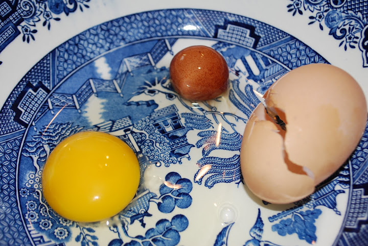 Egg Inside an Egg! | BackYard Chickens - Learn How to Raise Chickens