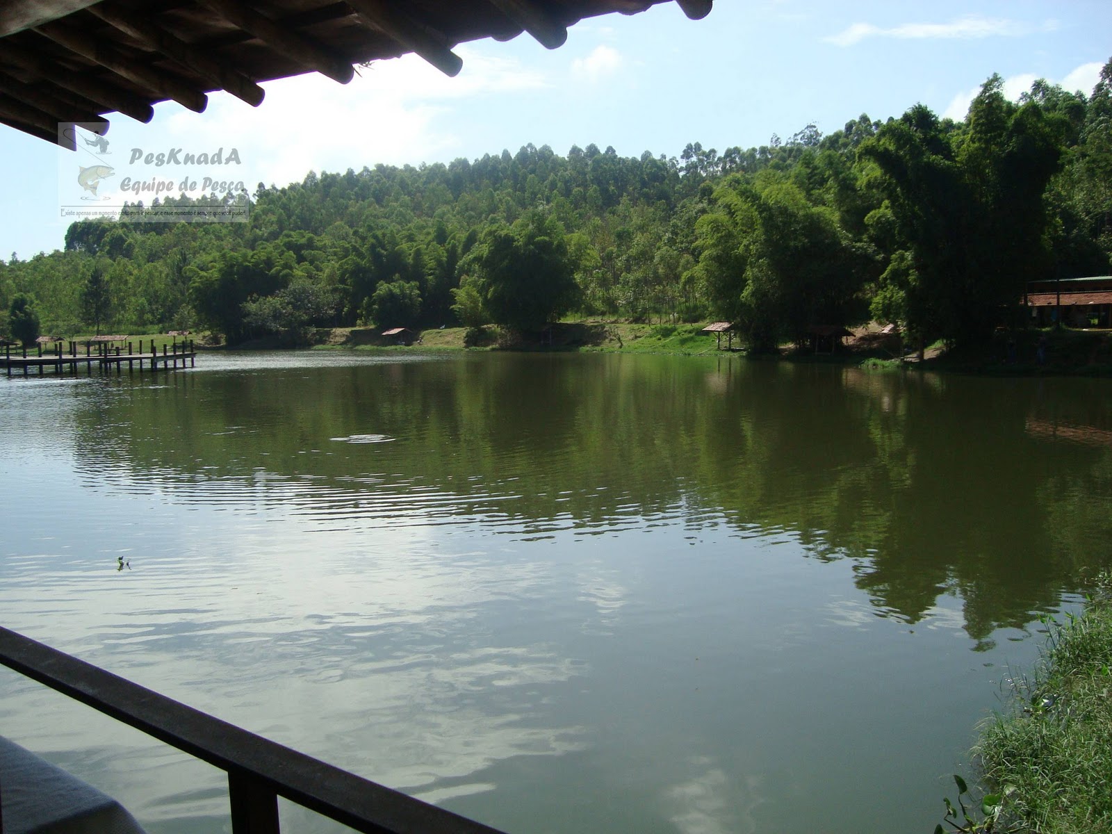 Equipe PesKnadA: Pesqueiro Castelinho com grandes piras e Muitas linhas ...