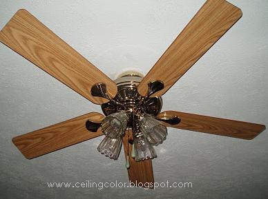 Color Ceiling Fan | Ceiling Color